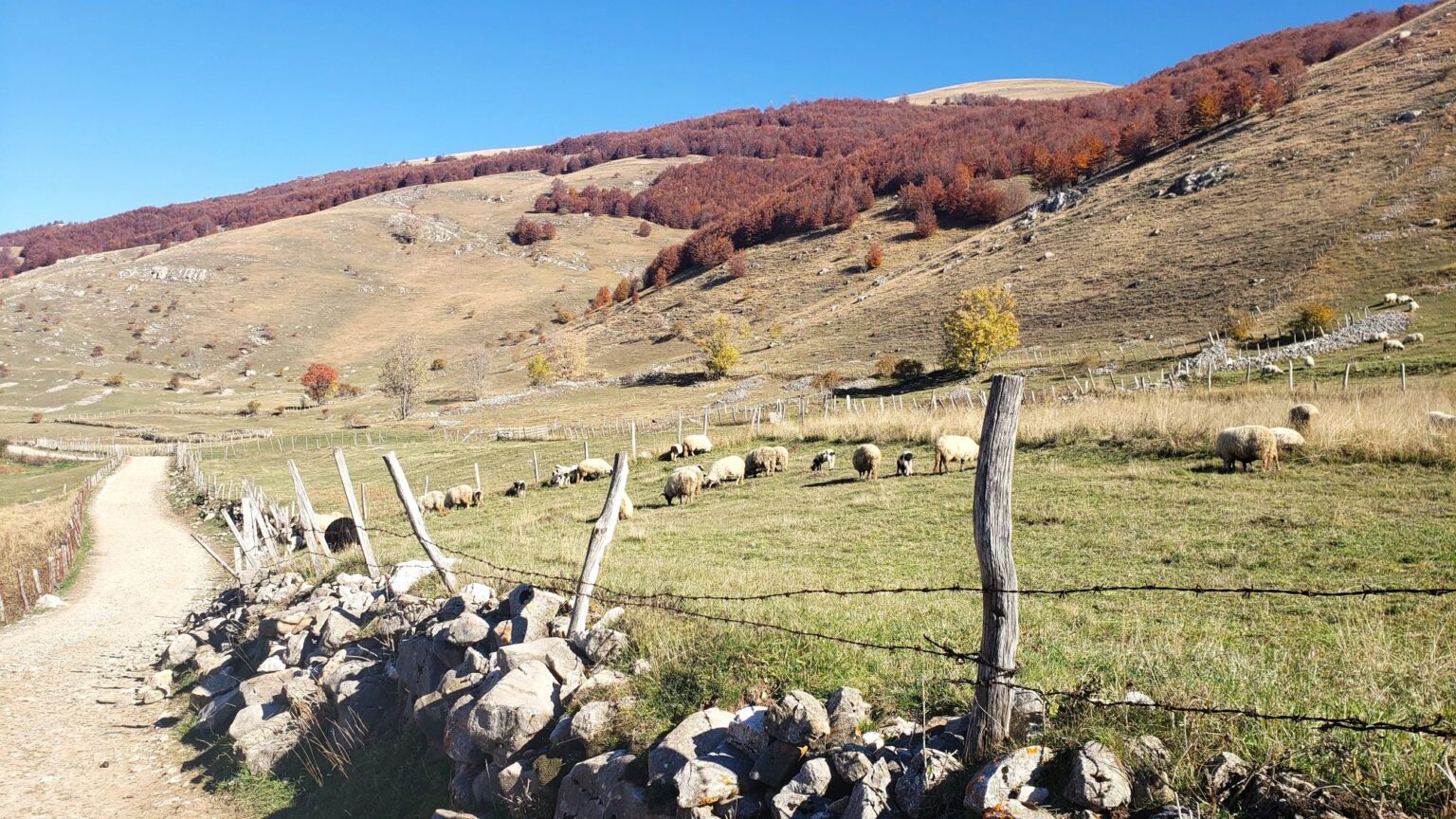 Lukomir: najviše stalno naseljeno selo u Bosni i Hercegovini